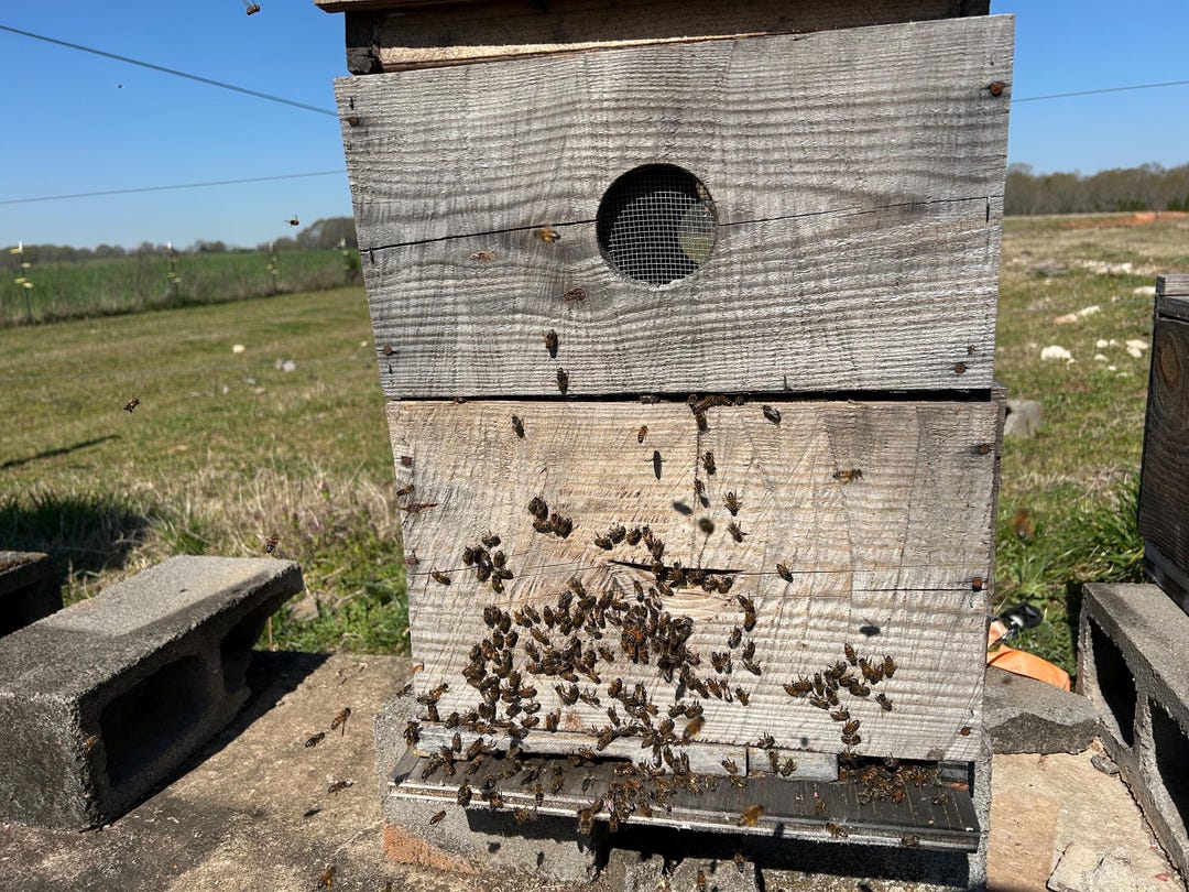 Unassembled 10 or 8 Frame Deep Beekeeping Brood Chamber Rough Cut Sustainably Sourced Lumber - Etsy