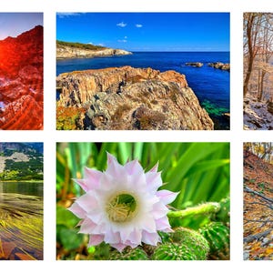 Nature View Photography Print, Digital and Printable Wall Decoration ...