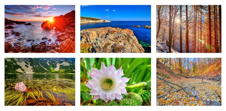 Nature View Photography Print, Digital and Printable Wall Decoration ...