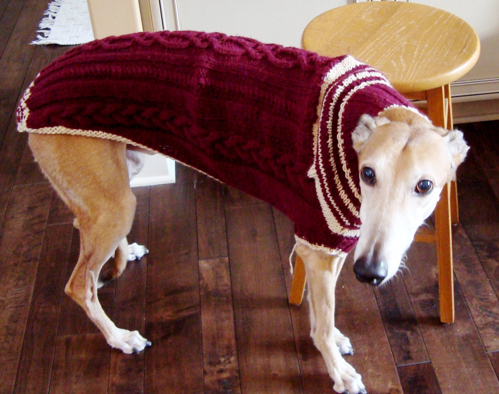 Custom Made Dog Sweater/ Whippet Sweater/ Greyhound Sweater - Etsy