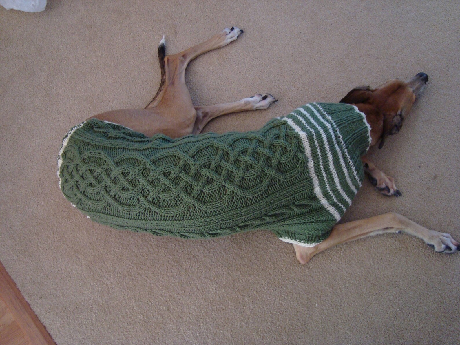 Custom Made Dog Sweater/ Whippet Sweater/ Greyhound Sweater - Etsy