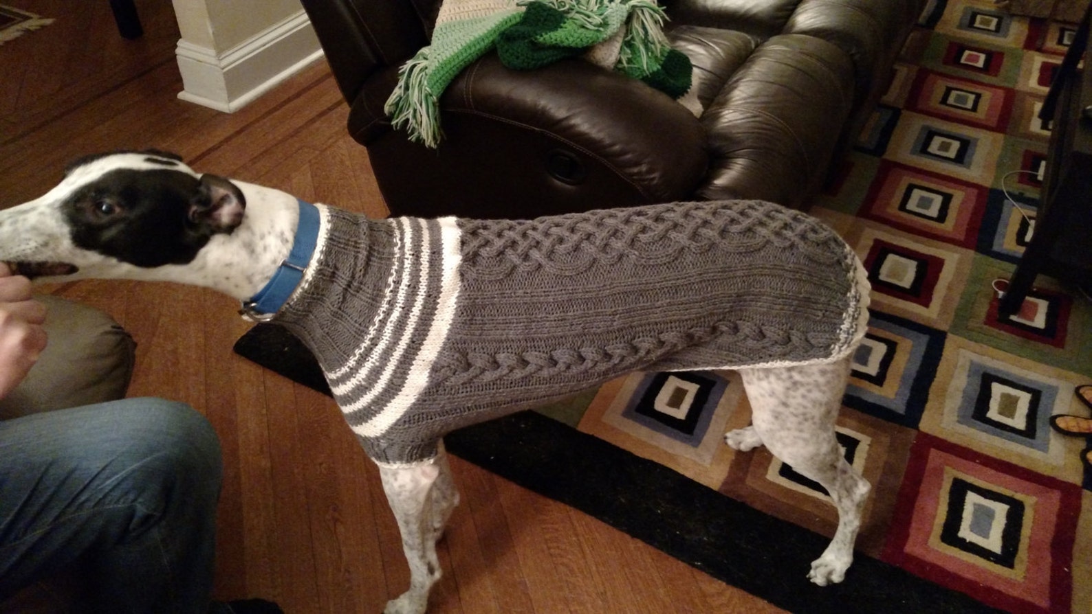 Custom made dog sweater/ whippet sweater/ greyhound sweater | Etsy