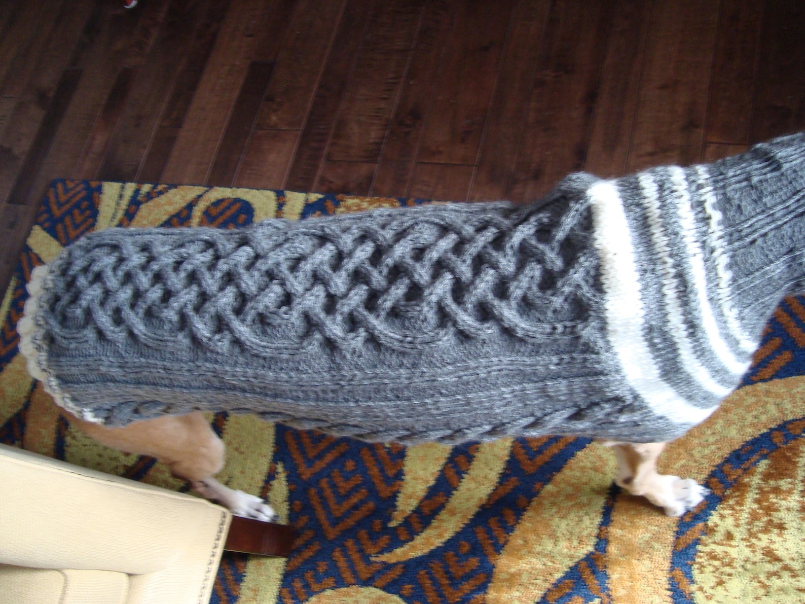Dog/ Greyhound Sweater Knitting Pattern PDF File ONLY! - Etsy