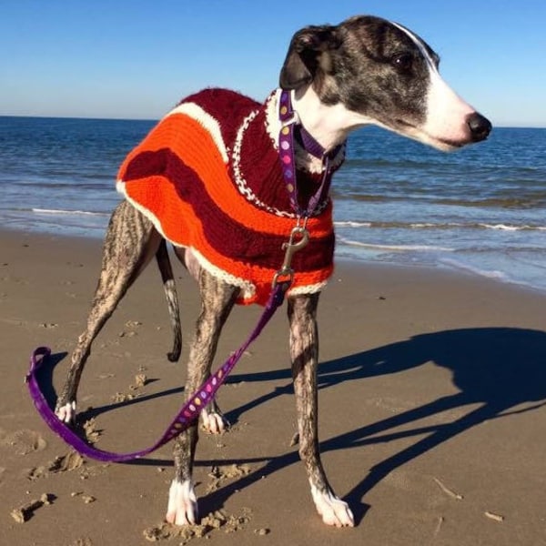 Whippet Sweater - Etsy
