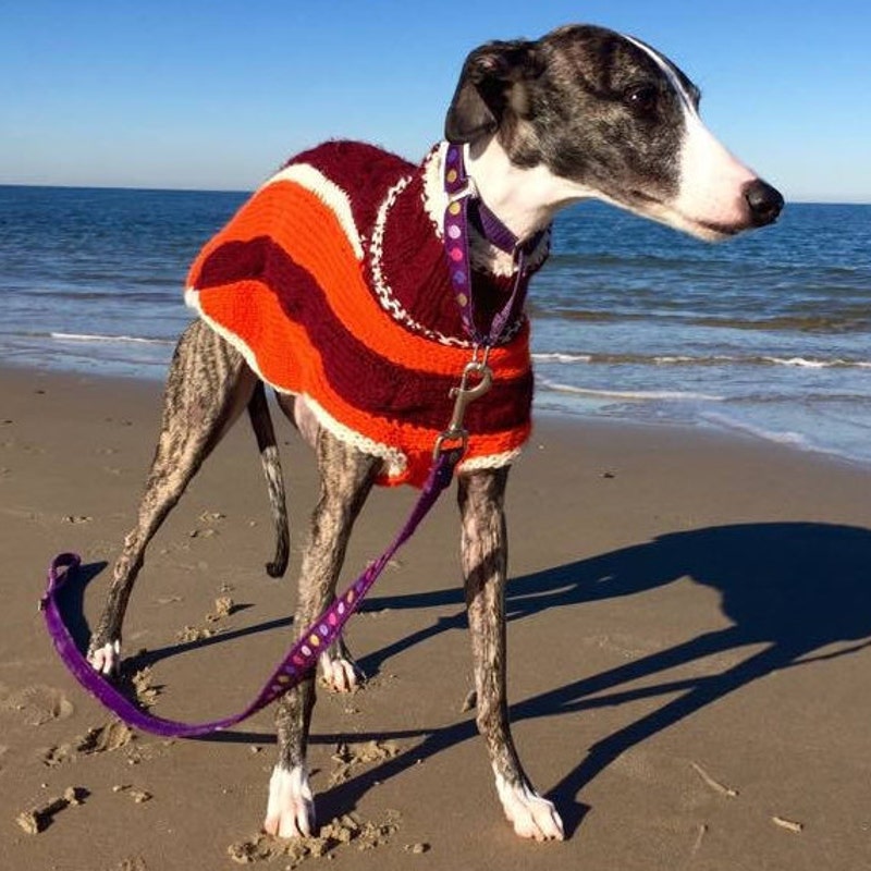 Whippet Dog Coat Pattern - Etsy