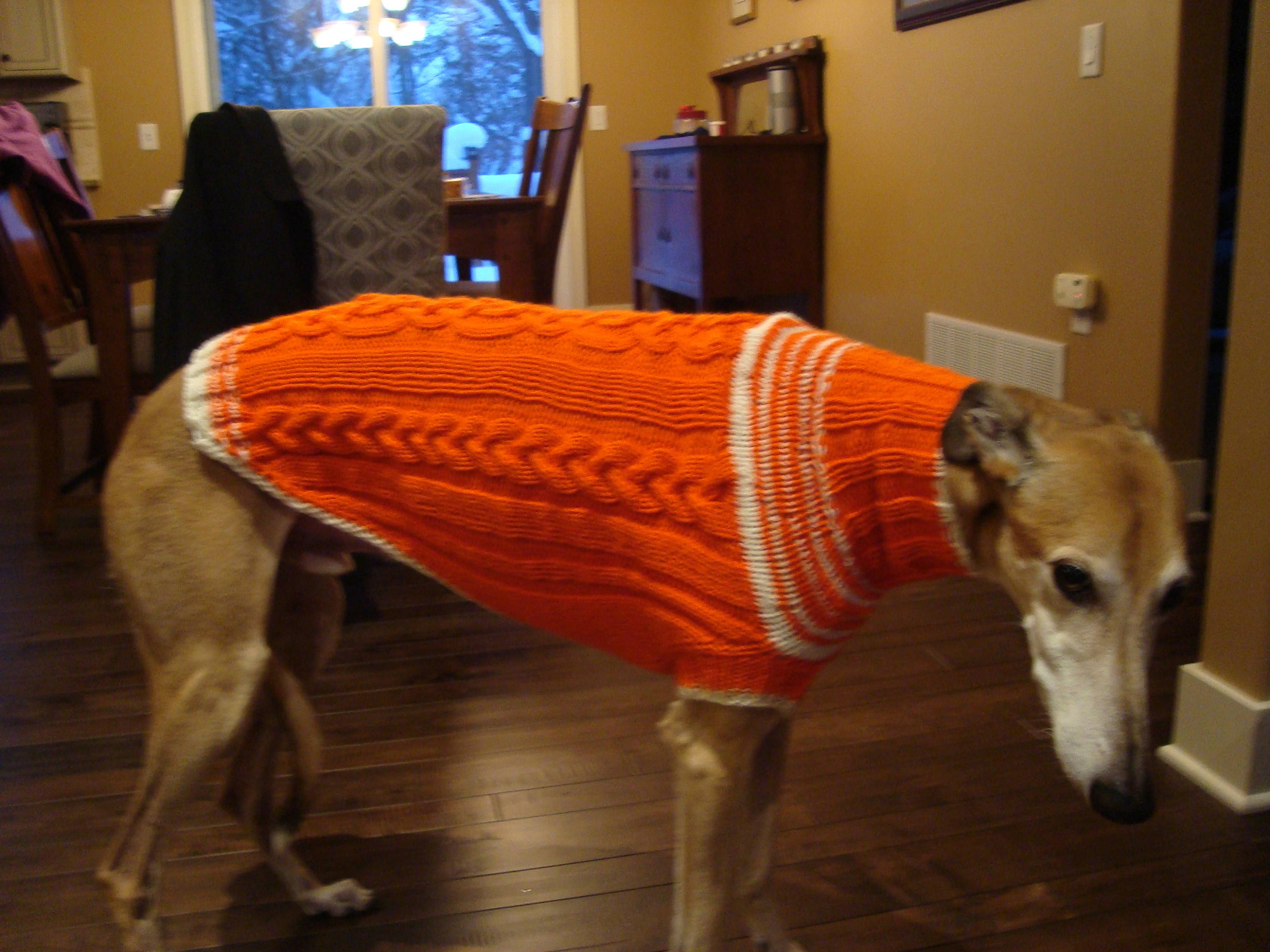 Dog/ Greyhound Sweater Knitting Pattern PDF File ONLY - Etsy Canada