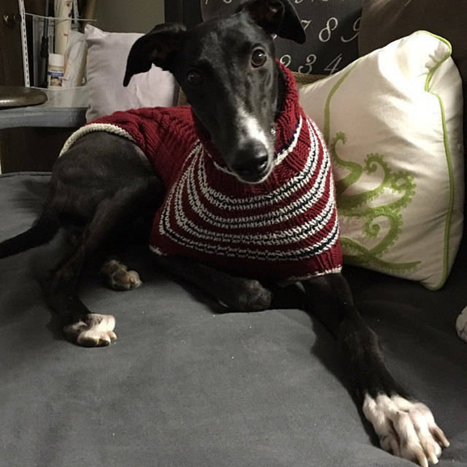 Dog/ Greyhound Sweater Knitting Pattern PDF File ONLY - Etsy