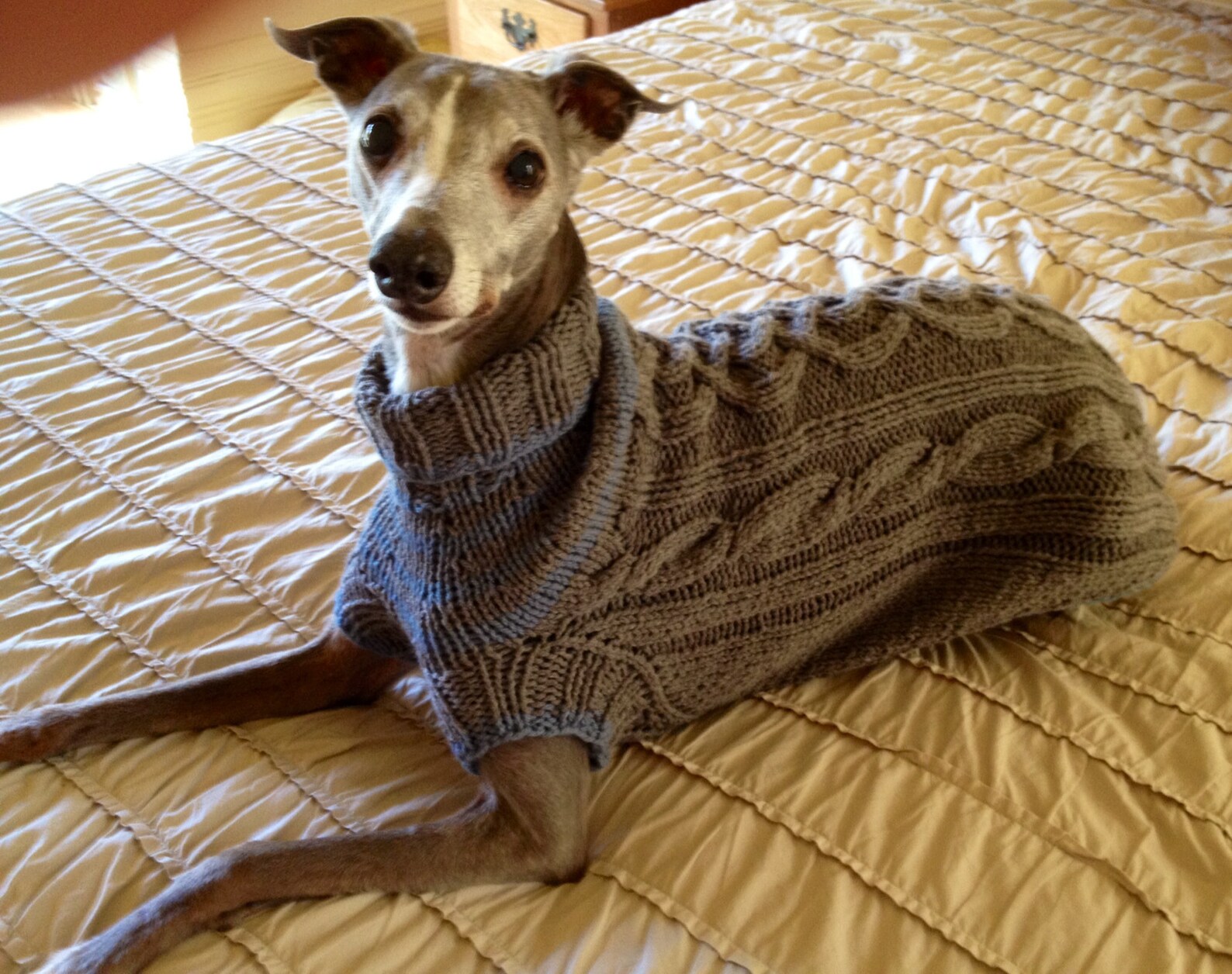 Whippet Sweater Pattern PDF File ONLY - Etsy