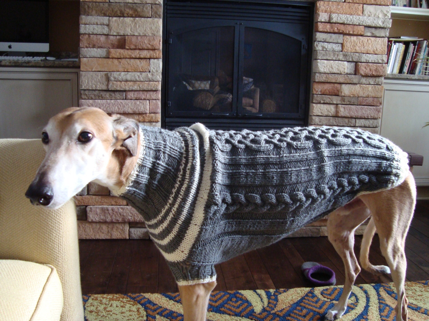 Dog/ Greyhound Sweater Knitting Pattern PDF File ONLY - Etsy UK