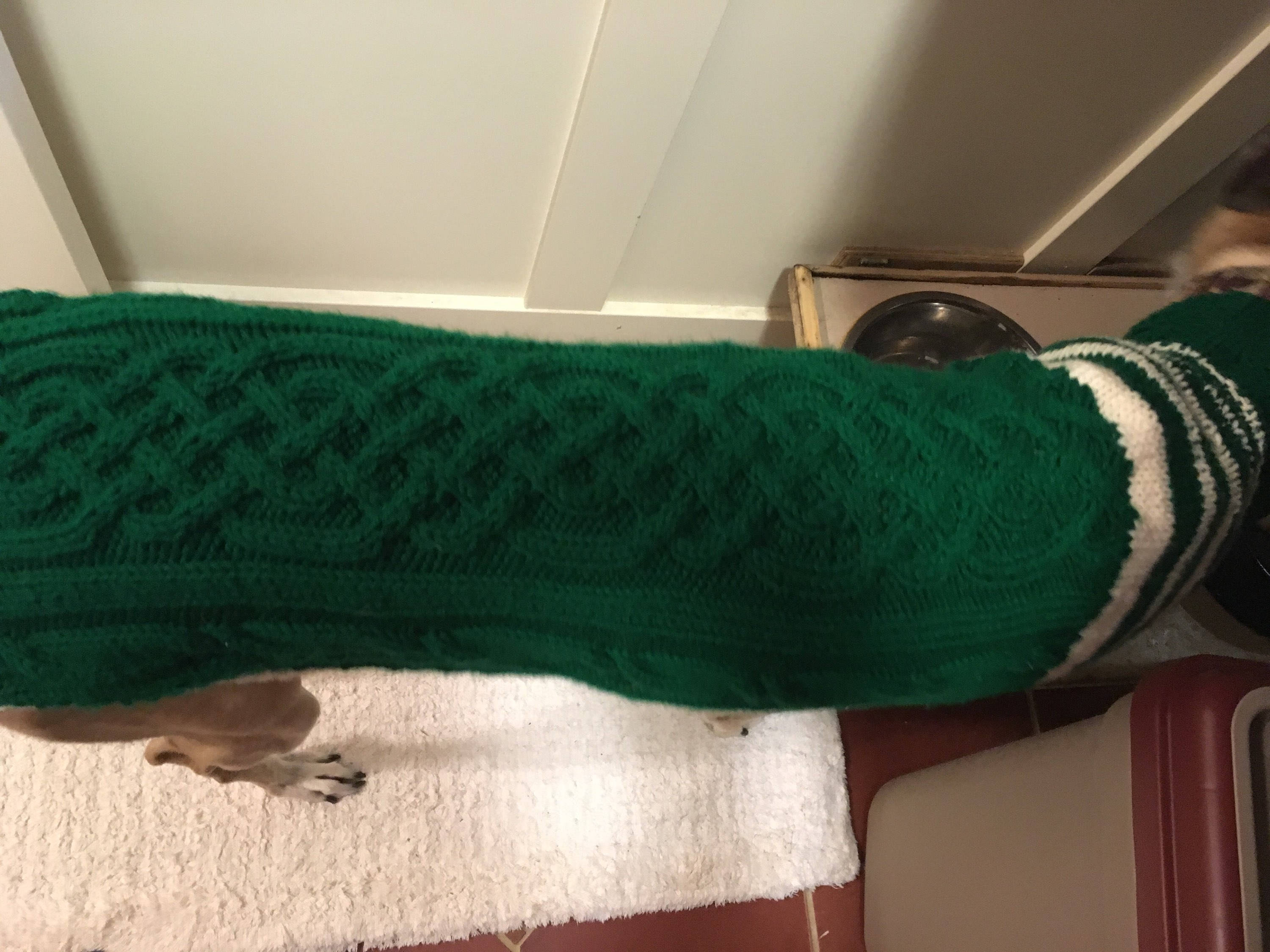 Dog/ Greyhound Sweater Knitting Pattern PDF File ONLY - Etsy Canada