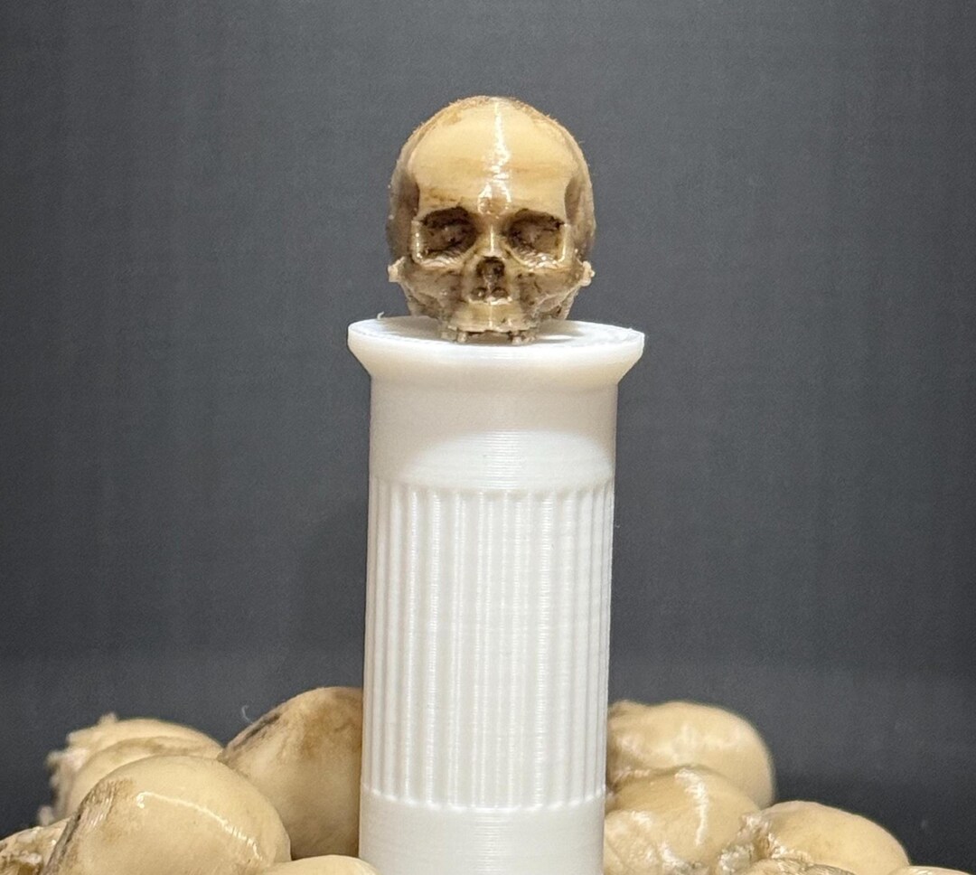 Small Human Skull Missing Bottom Jaw – Mini Decorative Skull - 3d ...