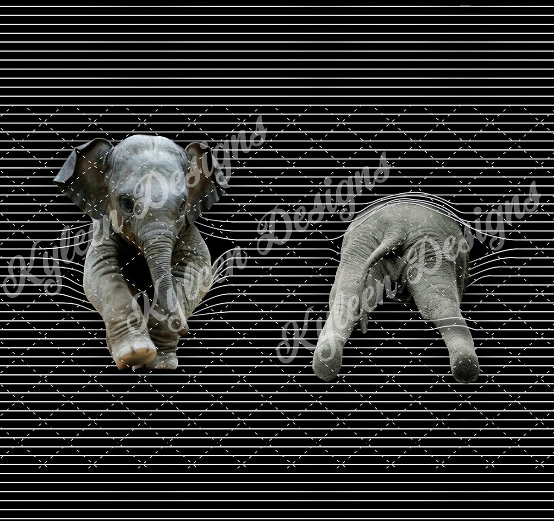 Elephant Breaking Through the Stripes High Res Digital File - Etsy