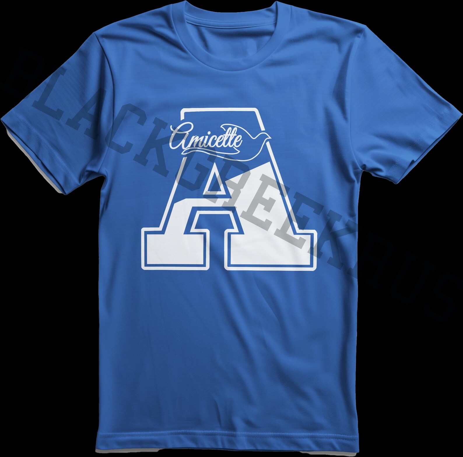 Amicette 'A' Logo Shirt | Amicette Club Shirt | Zeta Phi Beta Youth ...