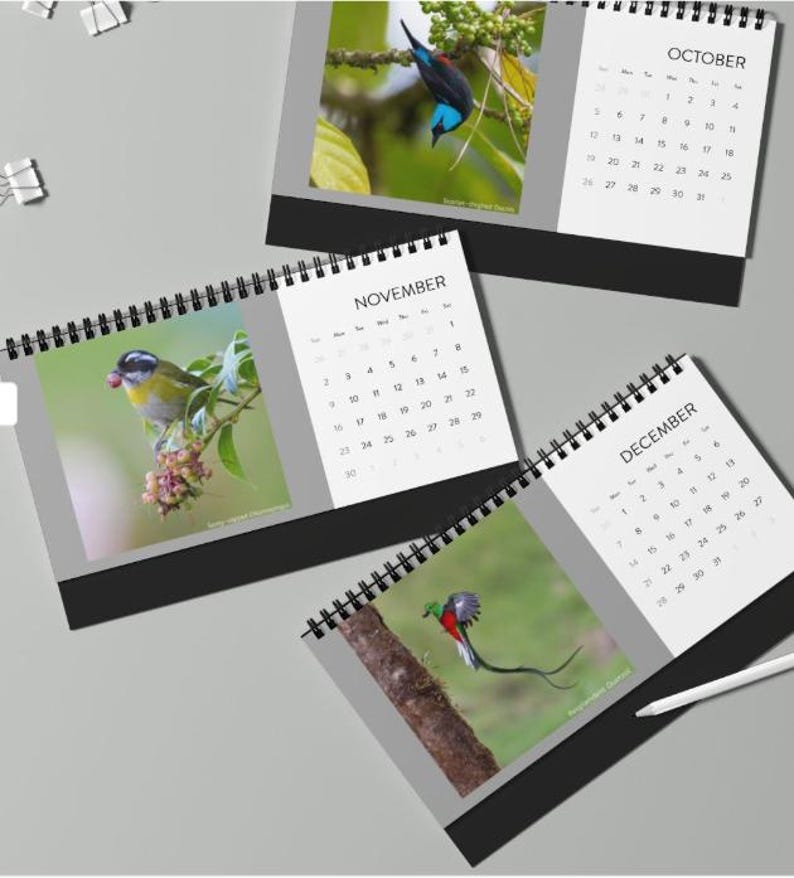 Desktop Calendar 2025 Grid - Etsy