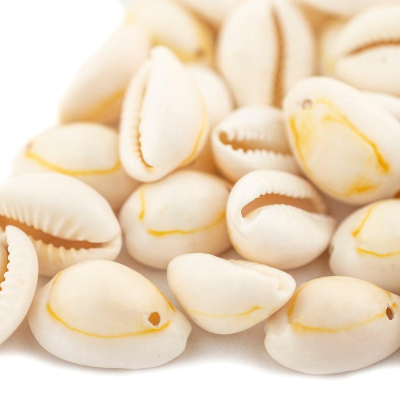 African Sea Shells Jewelry - Etsy