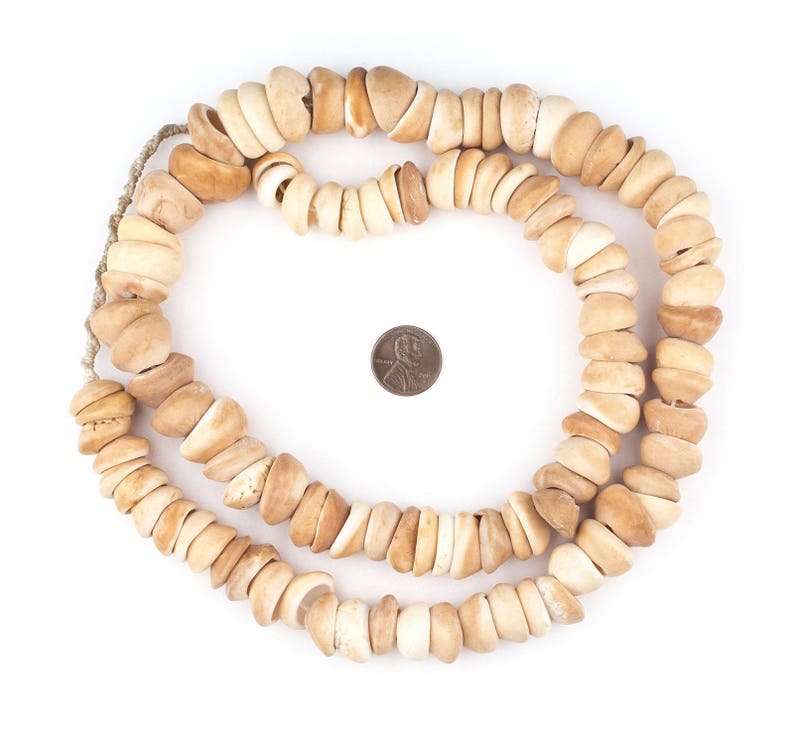 85-100 Natural West African Shell Beads: 18mm Shell Beads Ghanaian ...