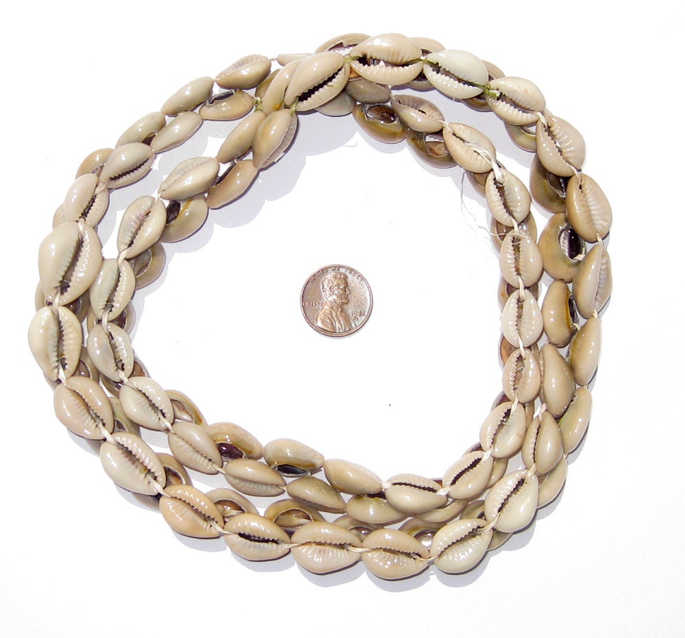 80 Kenyan Cowrie Shells African Shell Beads Cowry Shells Etsy