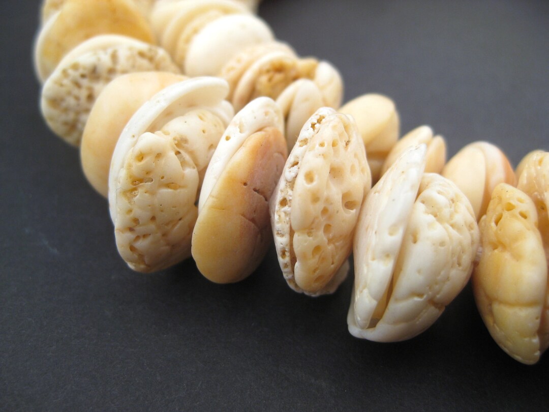 75 Shell Sets Antique Mauritanian Conus Shell Beads - Antique African ...