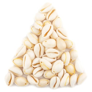 46 Beige Drilled Cowrie Shells Large: Natural Seashell Shells for ...