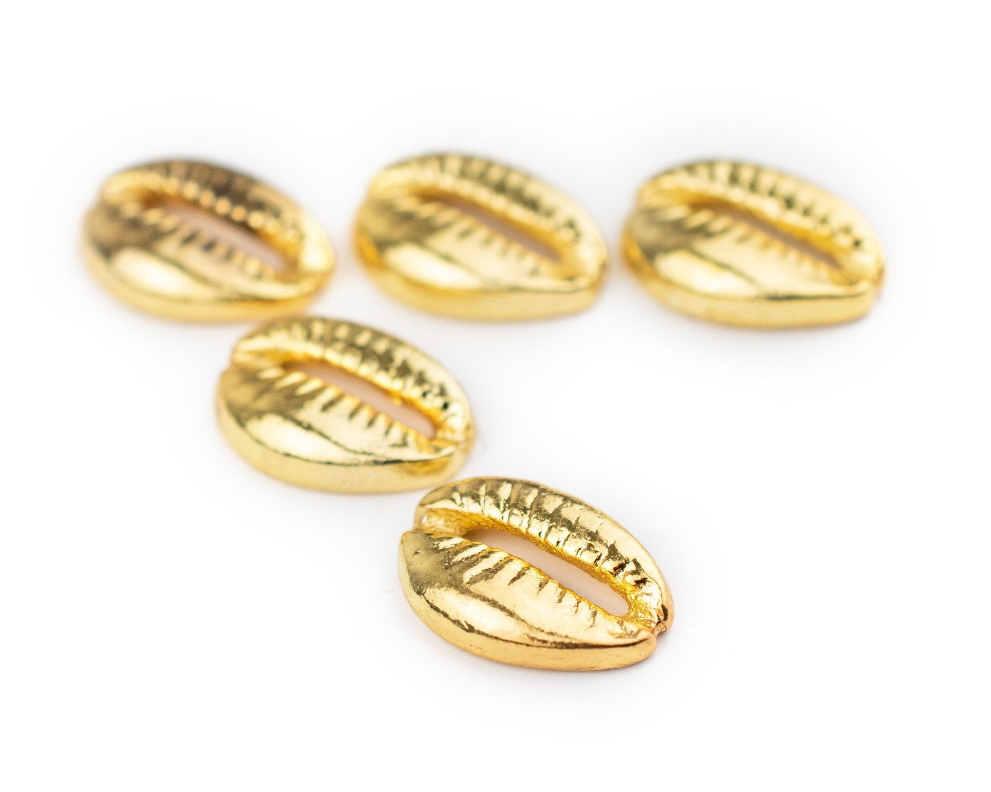 Golden Cowrie Shell for sale | Only 4 left at -75%