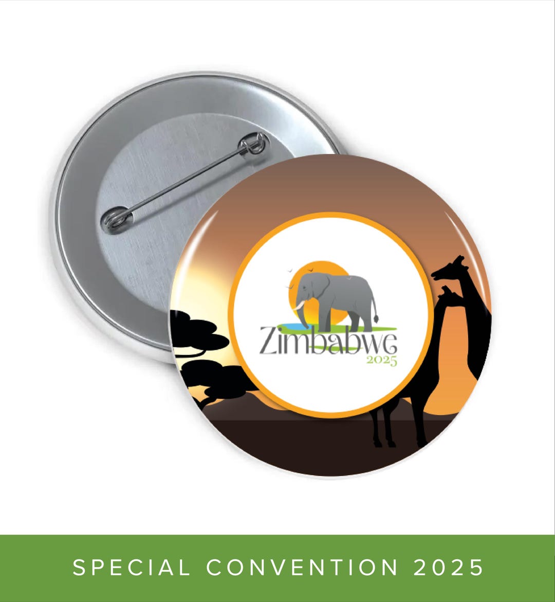 Special Convention 2025 Zimbabwe, JW Pin, Pure Worship, Button Pins ...