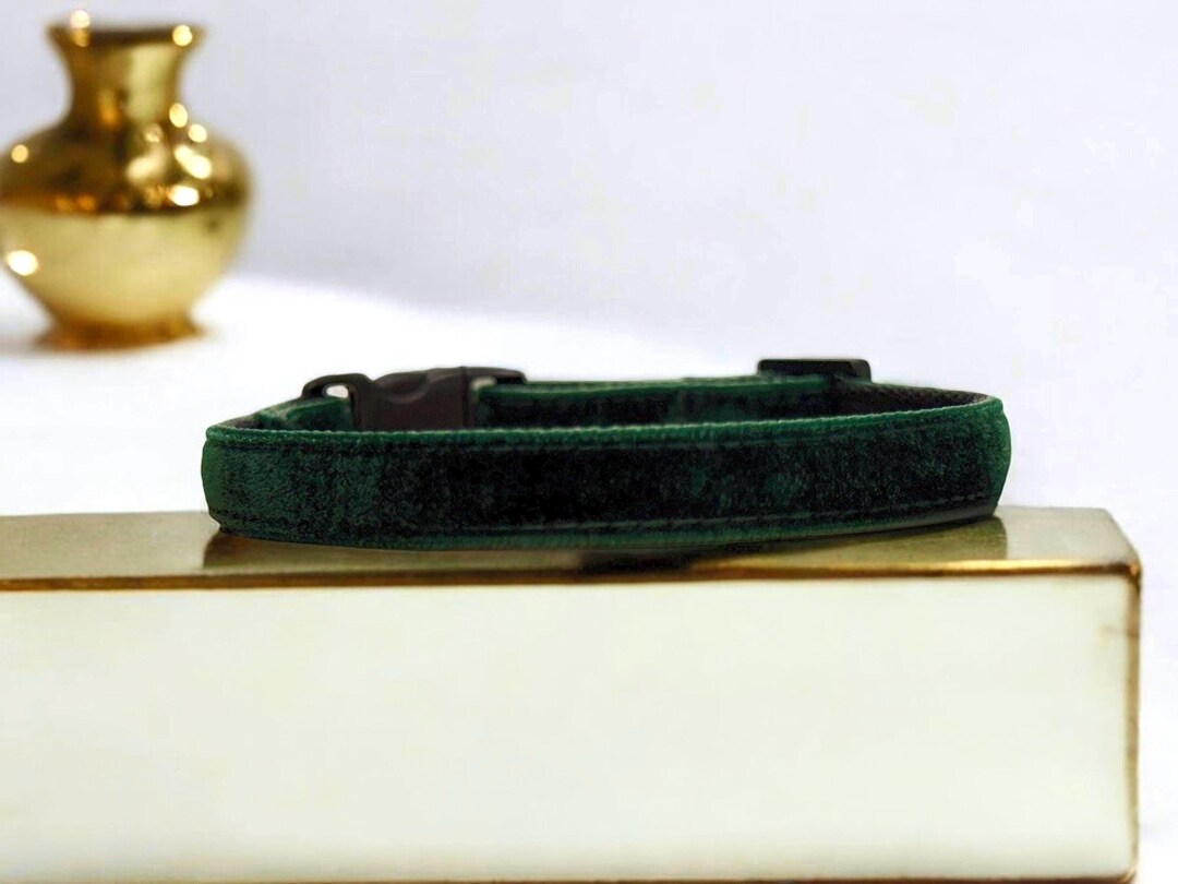 Evergreen Luxe Velvet Cat Collar, Velvet Kitten Collar, Small Dog ...