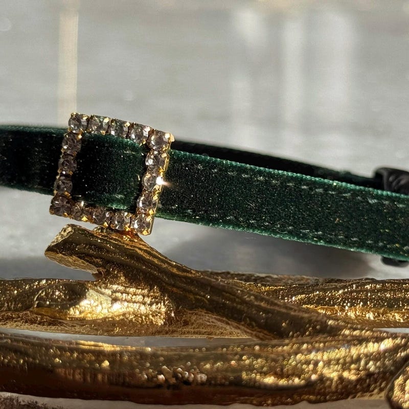 Rhinestone Collar Kitten - Etsy