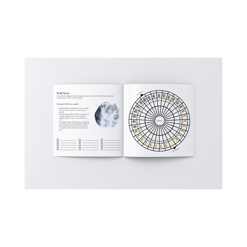2025 Annual Moon Cycle Mood Tracker: Lunar Manifesting - Etsy