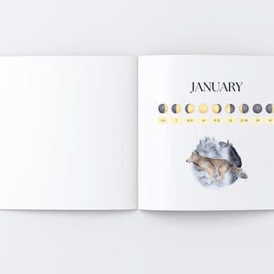 2025 Annual Moon Cycle Mood Tracker: Lunar Manifesting - Etsy