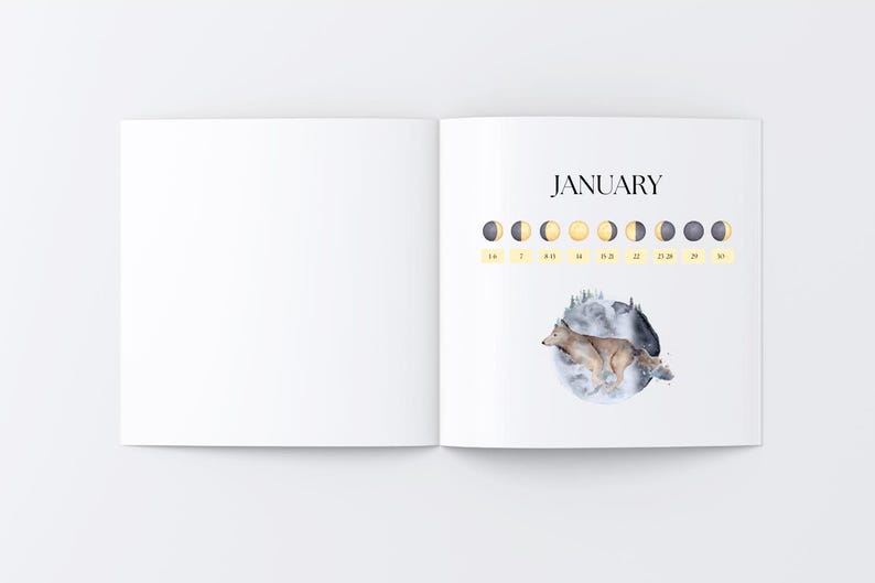 2025 Annual Moon Cycle Mood Tracker: Lunar Manifesting - Etsy