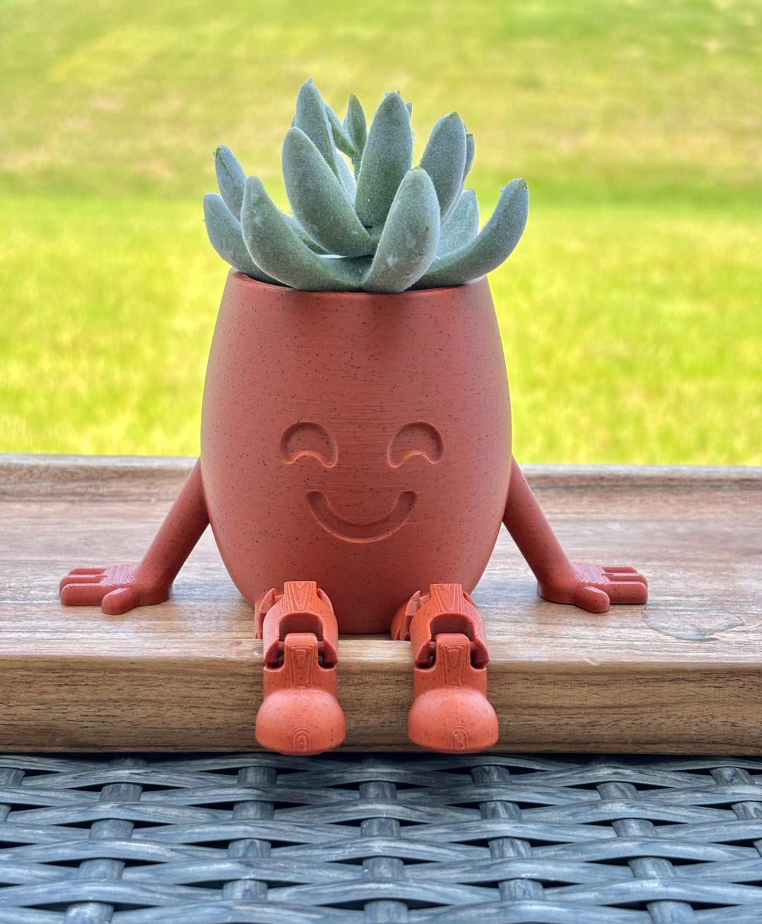 Succulent Buddy Pot, Cute Plant Planter, Quirky Desk Planter, Cute Pot ...