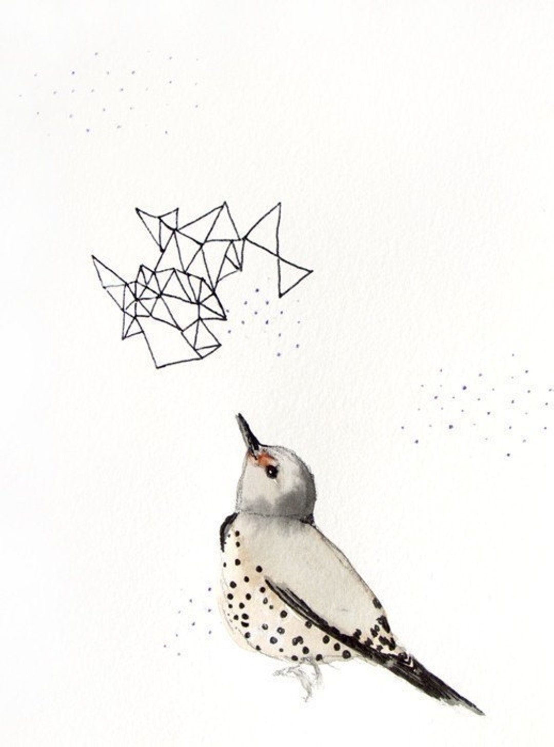 Pen and Ink Illustration Bird Art Drawing Northern Flicker Second ...