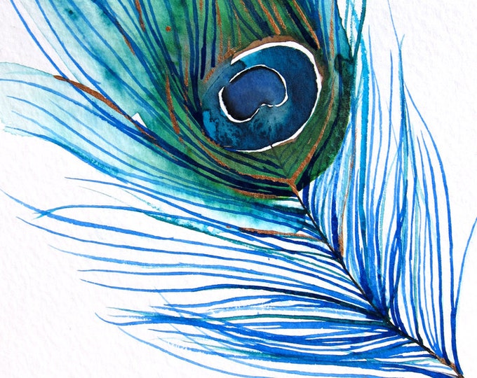 Feather Watercolor Peacock Feather I Bird Painting Bright Color 11x14 ...