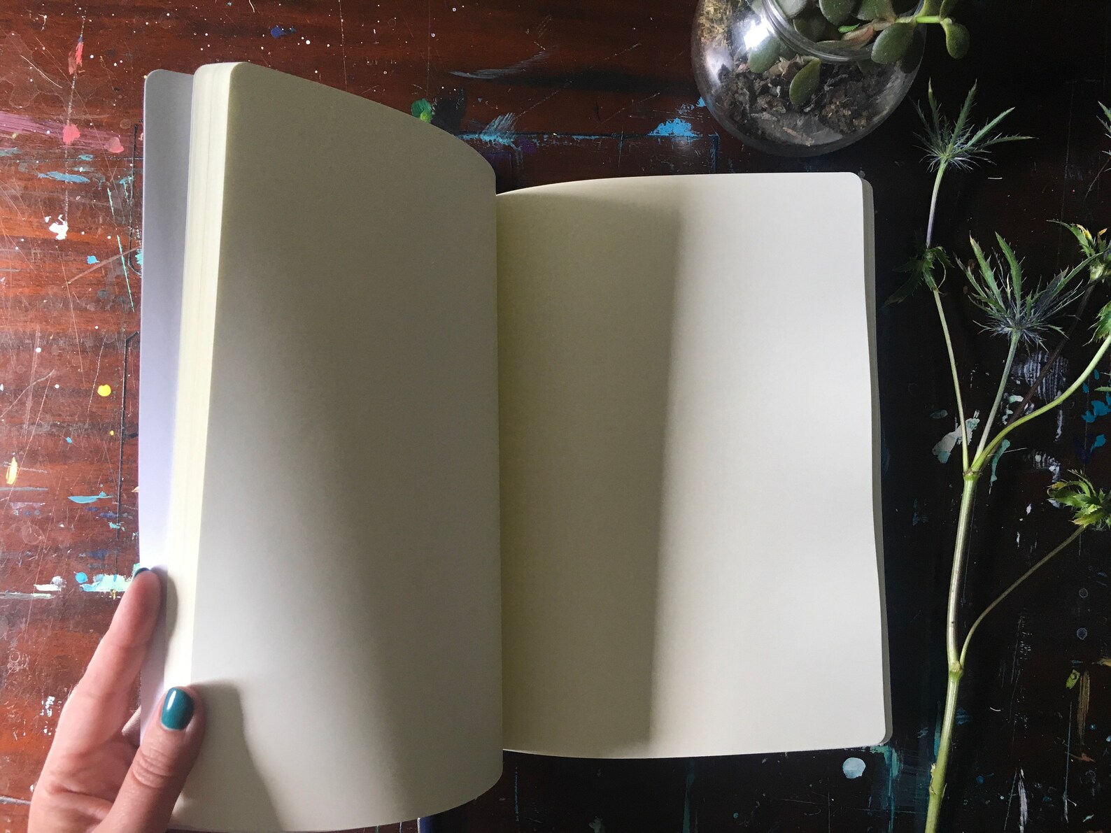 Moon Phases Notebook Unlined Sketchbook Large Journal - Etsy