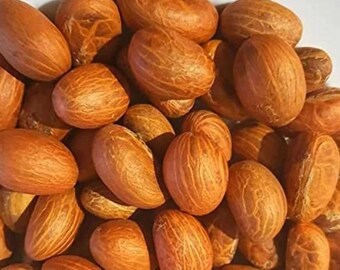 Bitter Kola Nut, Fresh Garcinia Kola - Organic African Orogbo 100g - Etsy