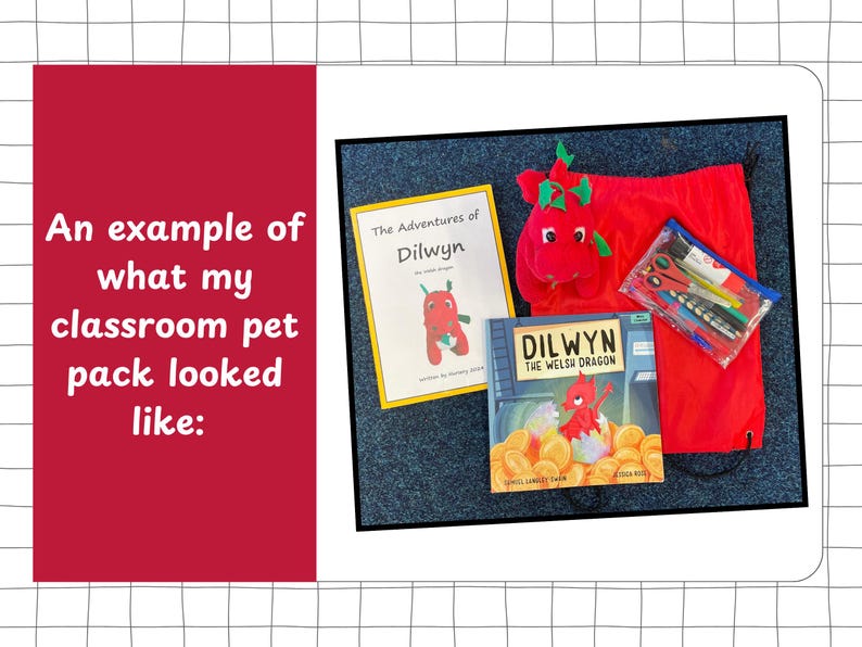 Classroom Pet Journal Cover and Instructions | Weekend Class Pet ...