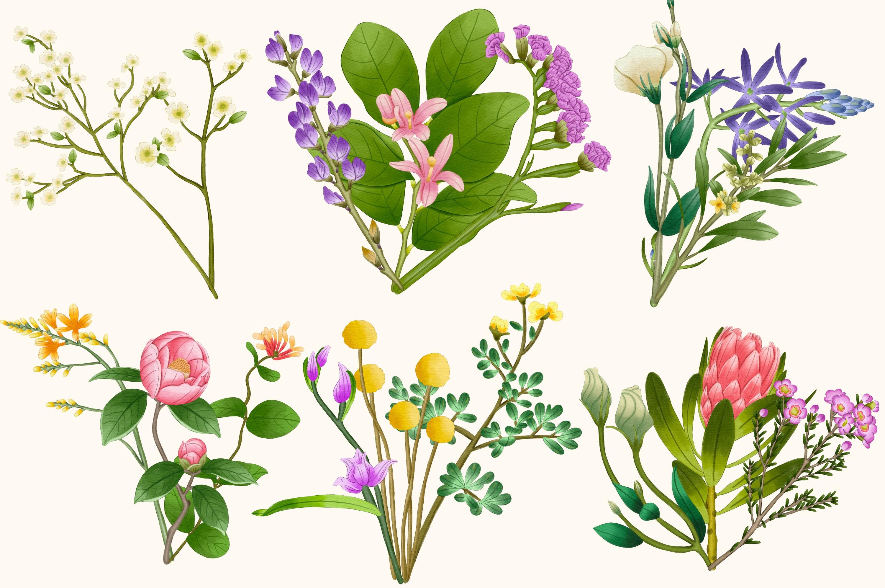 Flower Branch 21 Watercolor Collection - Etsy