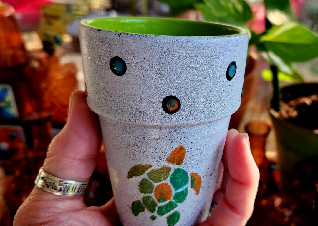 Sea Turtle Planters | Set of Succulent Planters | Small Succulent Pots ...