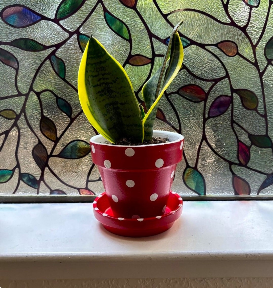 Polka Dot Flower Pot | Polka Dot Planter | Painted Flower Pot | Fun ...