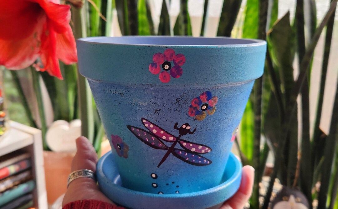 Dragonfly Art Succulent Flower Pots Painted Flower Pot Colorful Planter ...