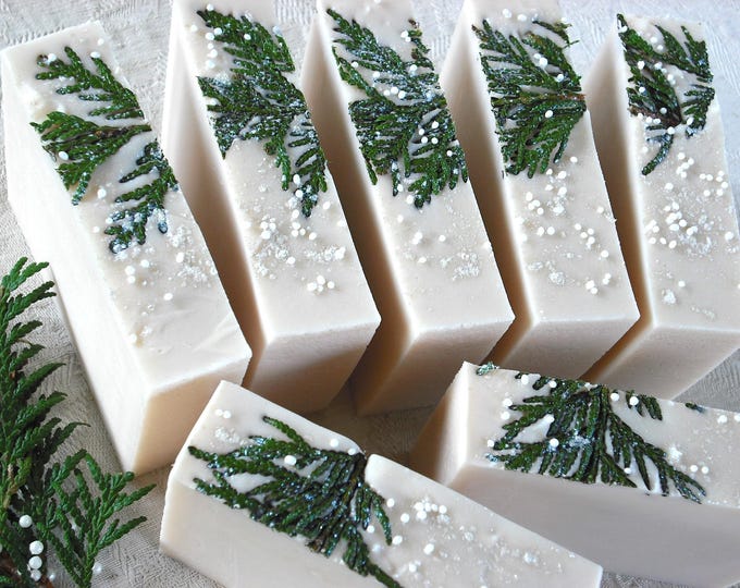 Holiday Soap / Winter Wonderland Soap / Fresh Outdoor Scent / Handmade ...