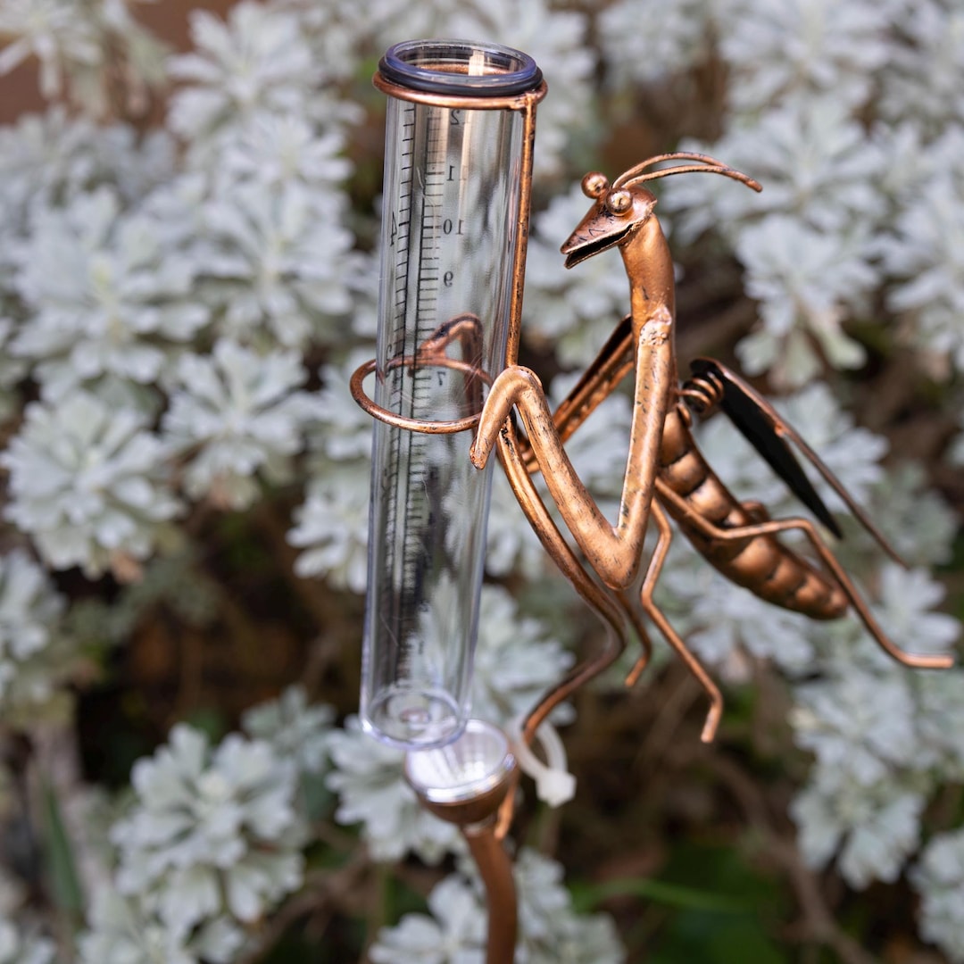 Pluviómetro Iron Mantis, estaca de jardín exterior con luz solar, arte ...