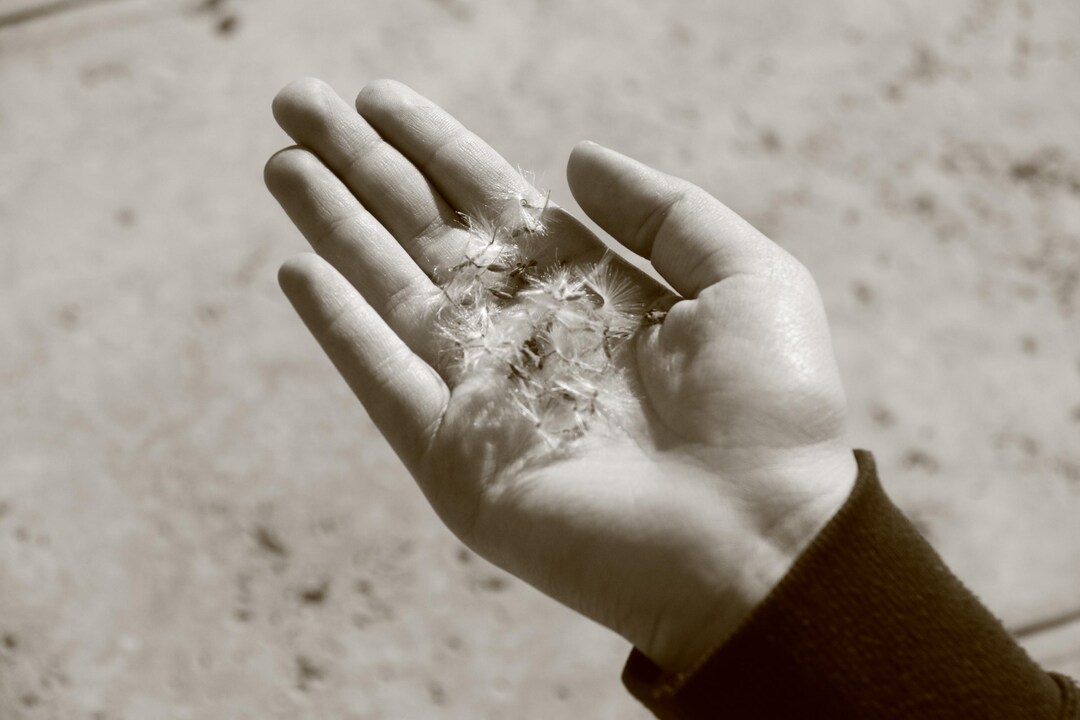 Wish Hand - Etsy