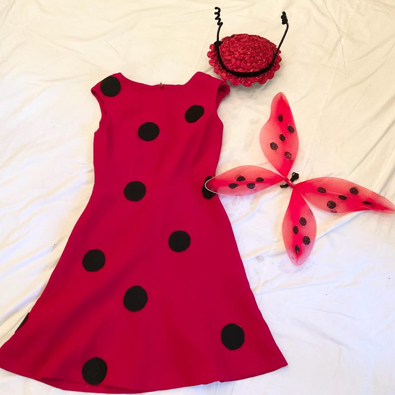 Ladybug Costume Womens - Etsy