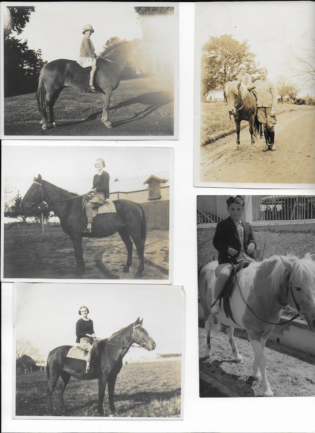 Real Photo, Lady Riding, Horse Rider, Boy on Horse, Horse Riding, X 5 ...