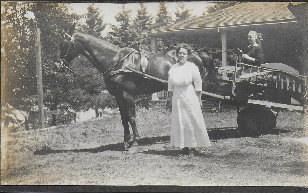 Vinatge Photograph, Horse & Trap, Lady in White Dress, Young Girl ...