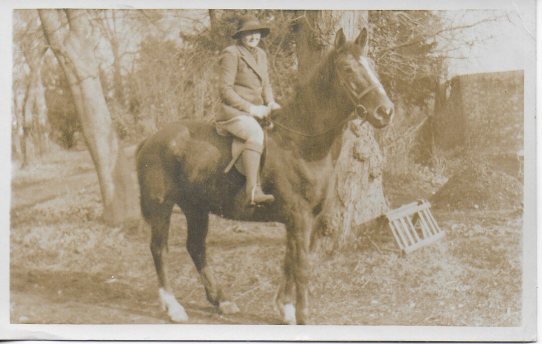 Real Photo, Lady Riding, Horse Rider, Chestnut Horse, Horse Riding ...