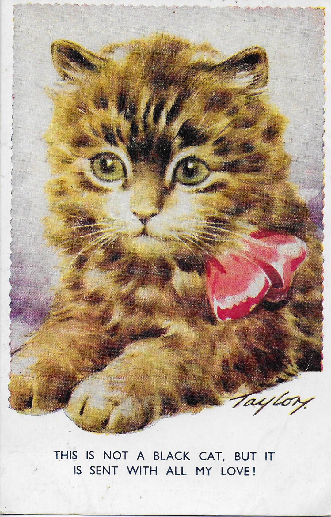 Vintage Postcard, Cat, Illustrated Postcard, Pink Bow, Posted 1947 - Etsy