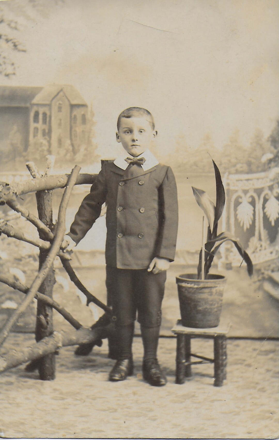 Vintage Photo, Edwardian Child, Young Boy, Poy Plant, Studio Photo - Etsy