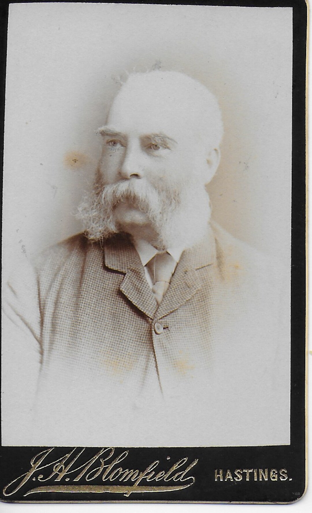 Victorian CDV, CDV, Vintage Photo, Gentleman, Man With Beard, Facial ...